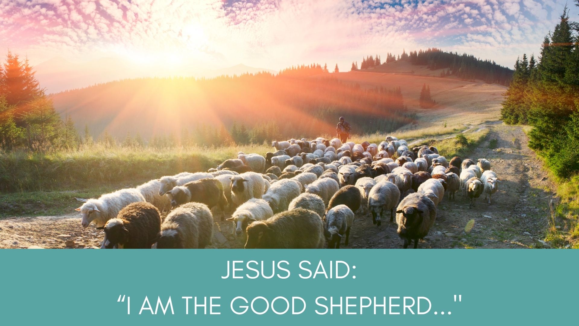Father Nathan Homily | Fourth Sunday of Easter | April 25, 2021 - St ...