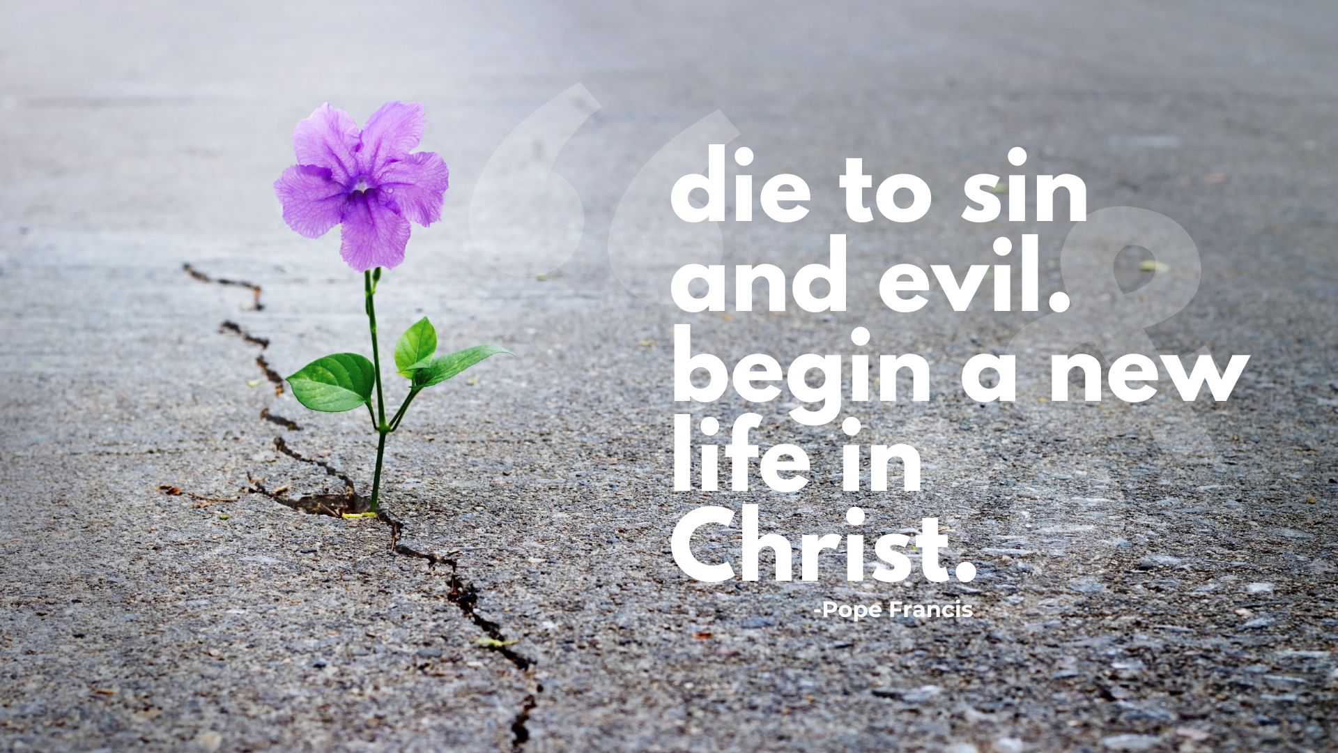 From The Desk Of Father Nathan | March 09, 2025 - St. Gabriel Catholic ...